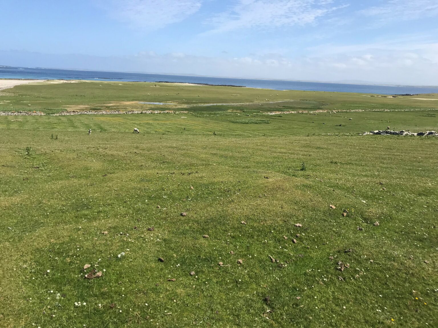 News & Events - LIFE on Machair