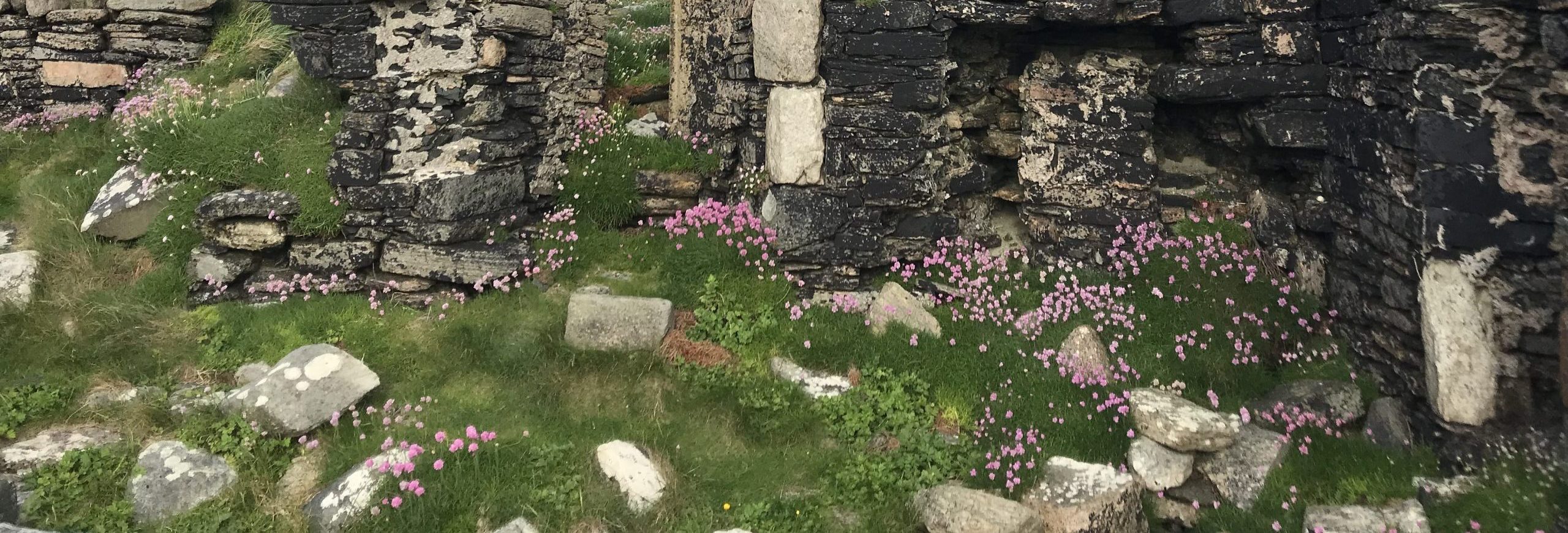 Policy & Project Linkages - LIFE on Machair