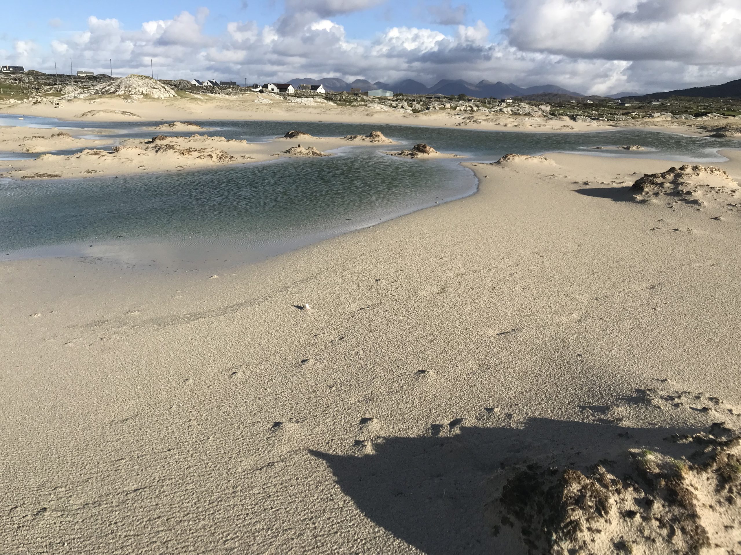 Murvey Machair - LIFE on Machair