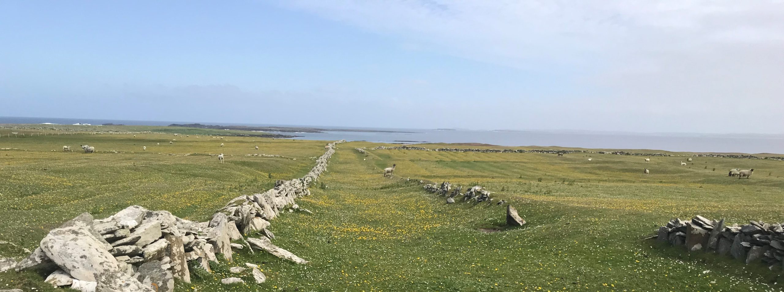 The Inishkea Islands - LIFE on Machair